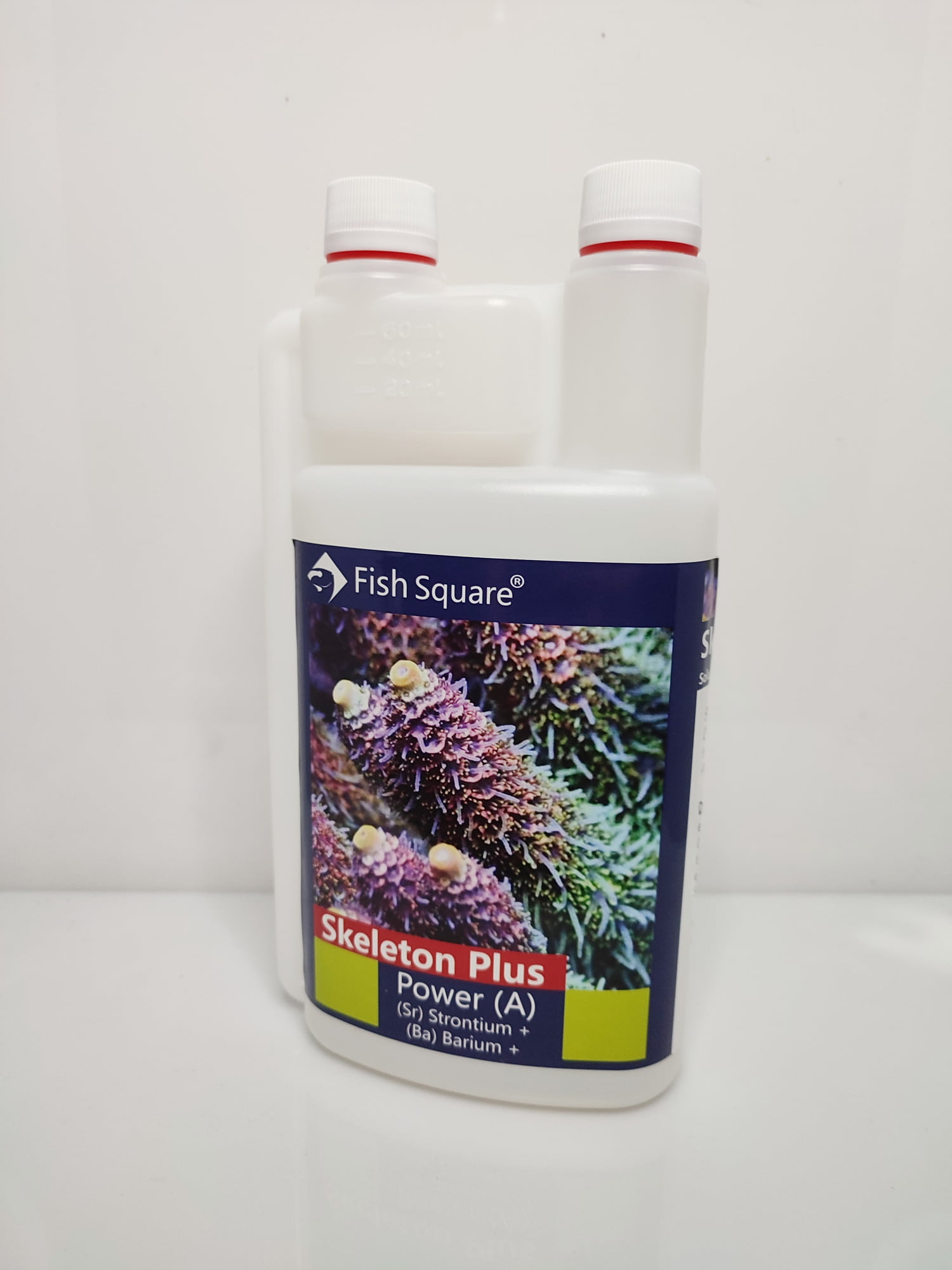 CA Plus - Fish Square