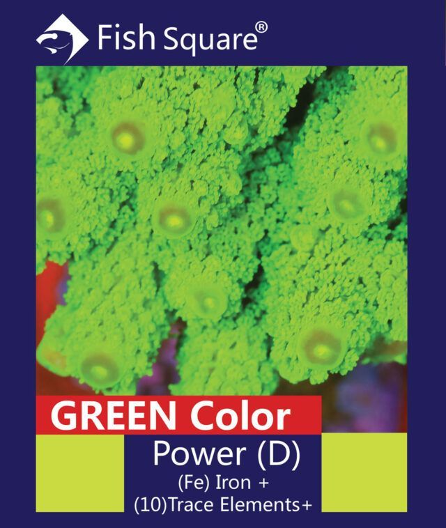 Green Color (Power D) - Fish Square